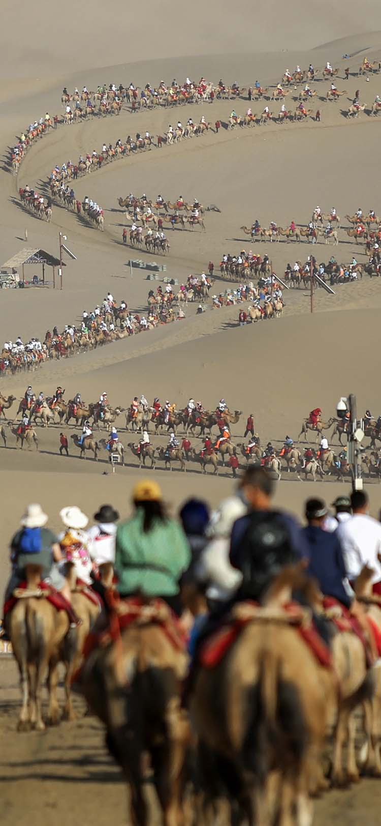Camel Ride in Dunhuang