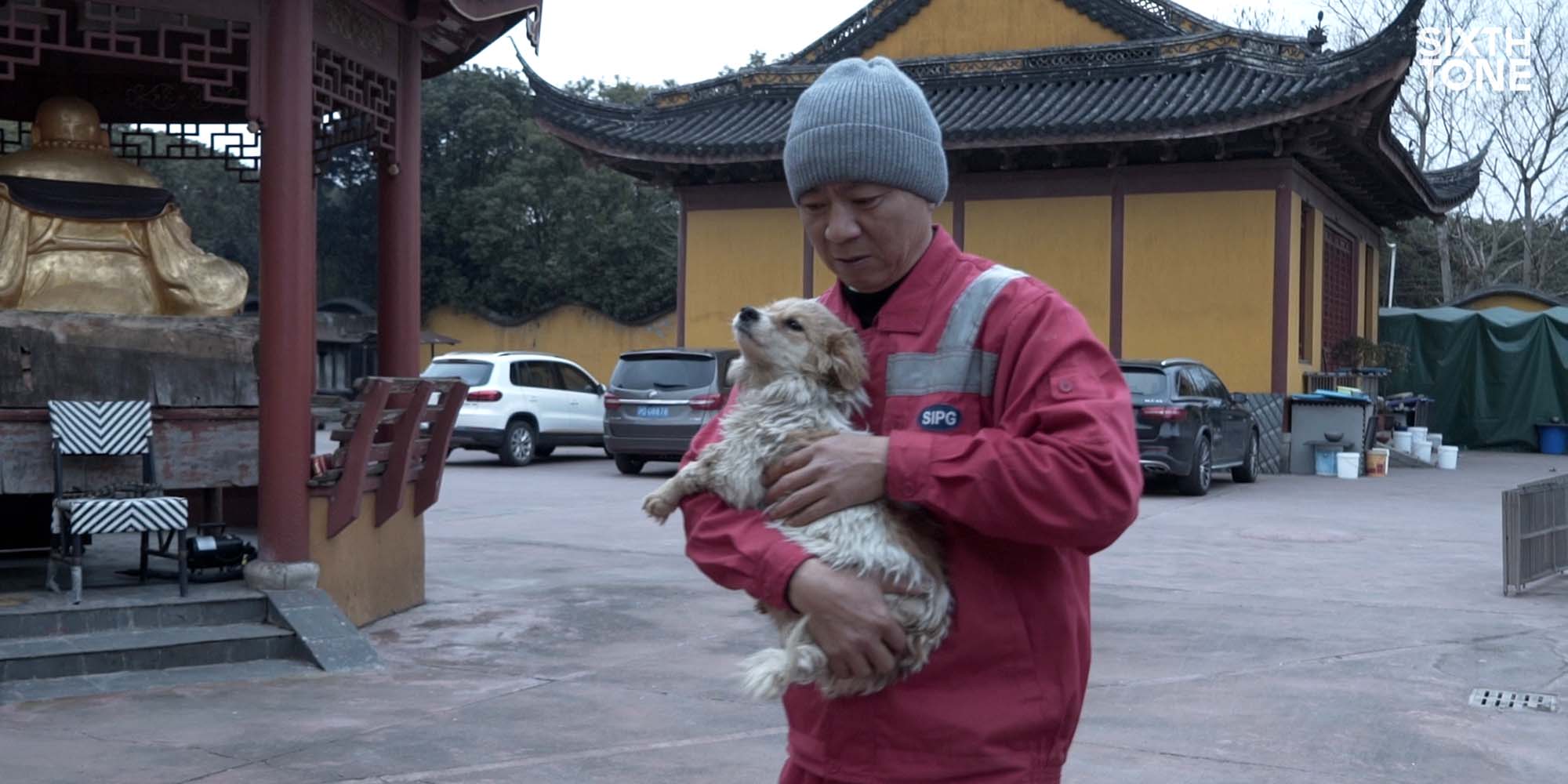 One Monk, a 500-Year Old Temple, and 9,000 Cats and Dogs