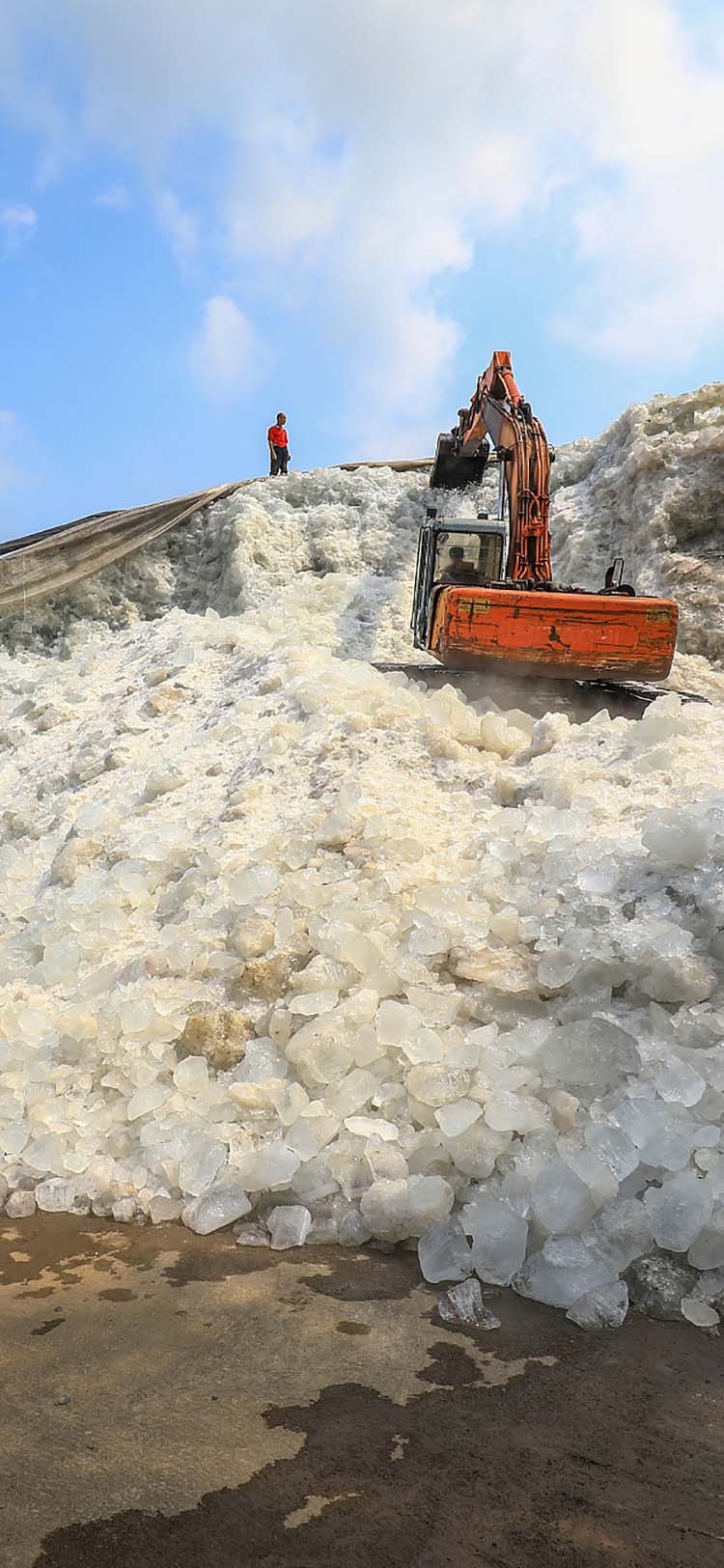 Winter Ice Sold in Summer