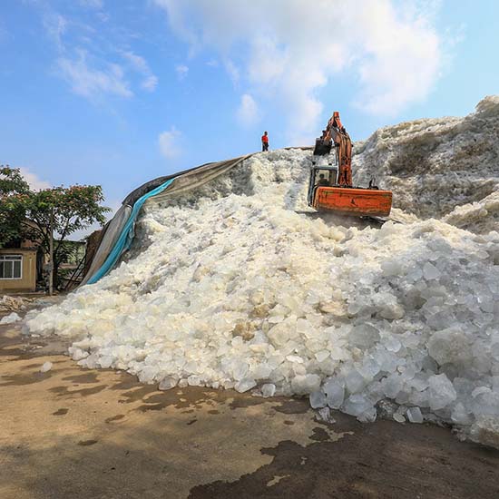 Winter Ice Sold in Summer