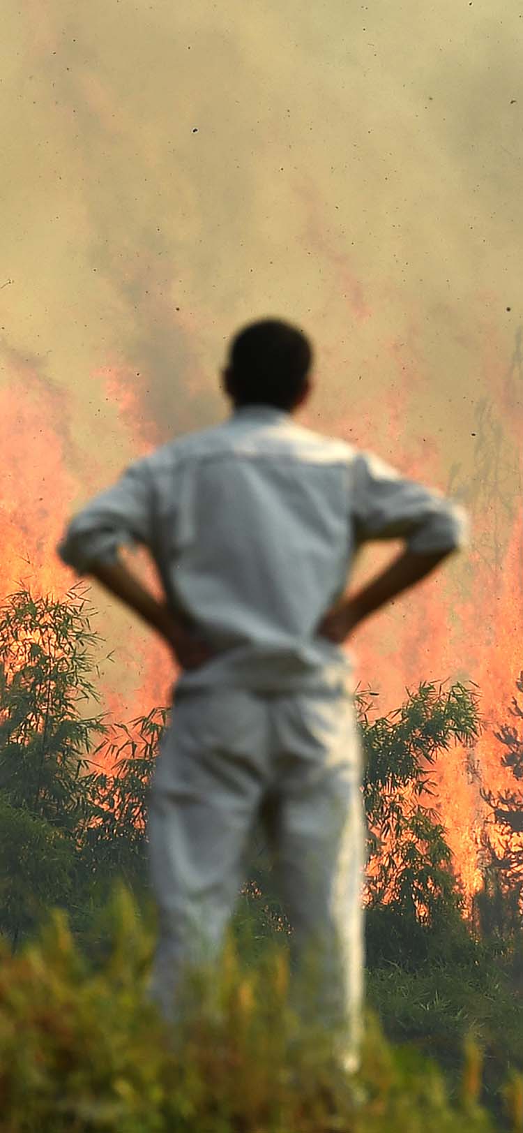 Wildfire in Chongqing