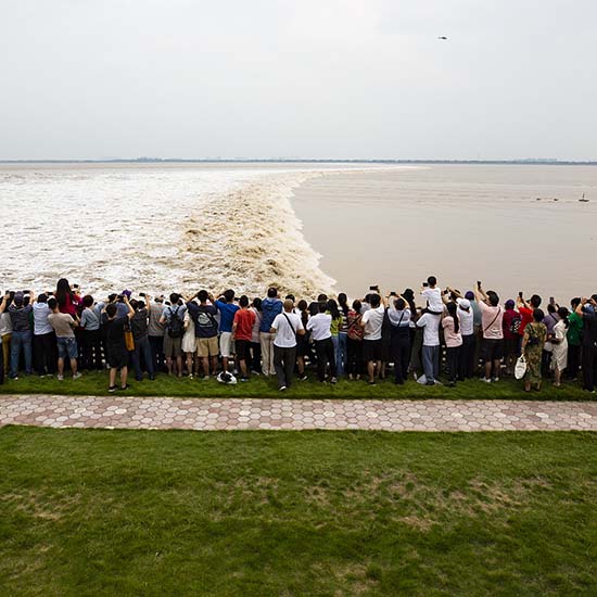 Watching the Tidal Bore