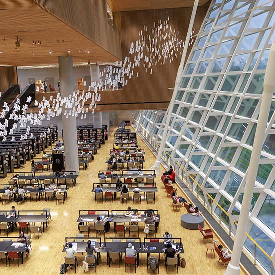 A Library for Your Laptop