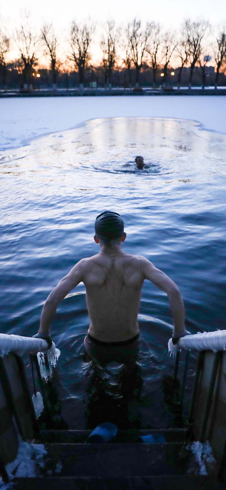 Polar Bear Dips