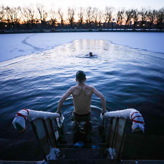 Polar Bear Dips