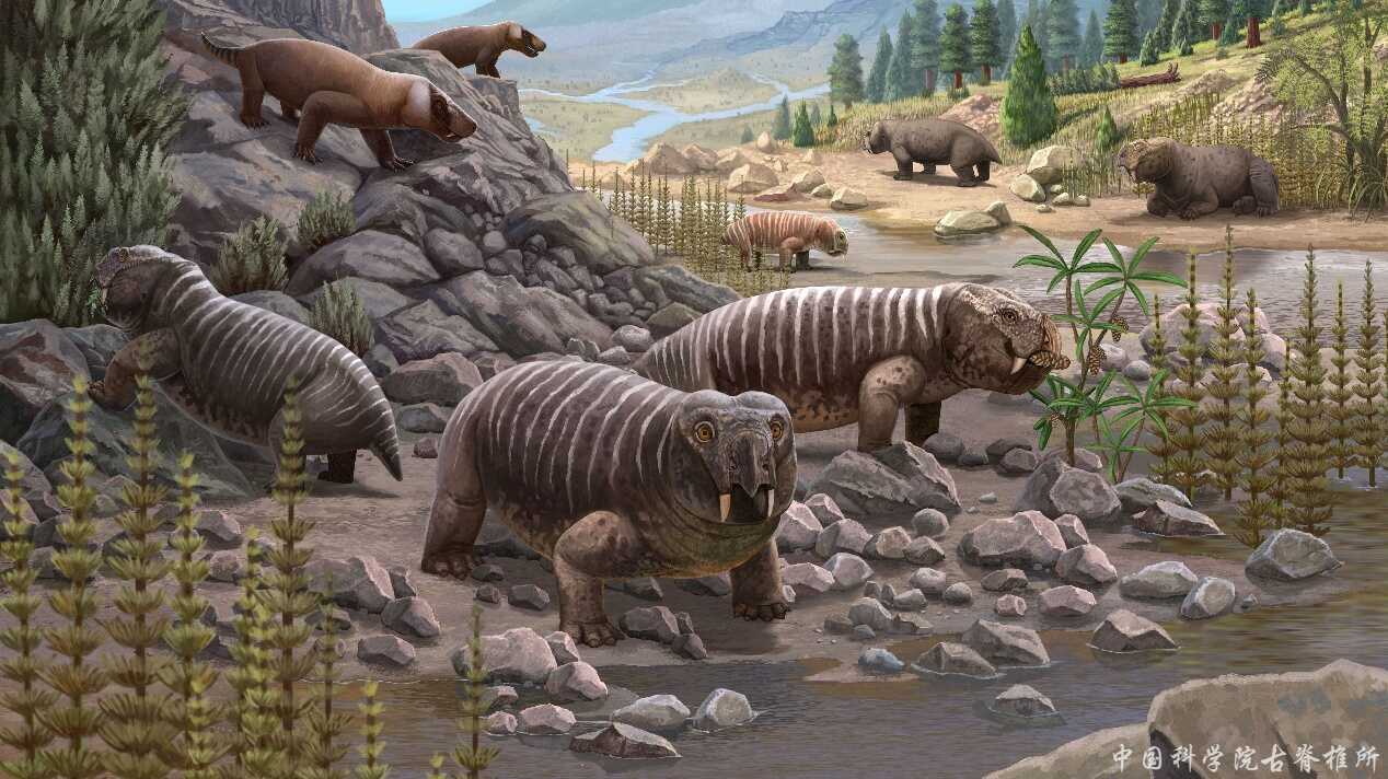 Prehistoric Plants And Animals Obdurodon Dicksoni By Jeanette Muirhead